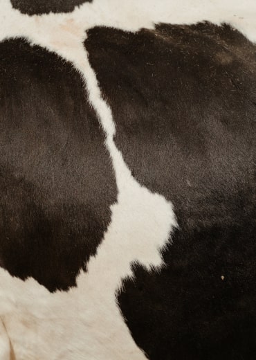 About Us – Daewoo Electronics Chile