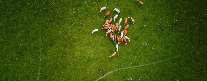 43′ – Daewoo Electronics Chile